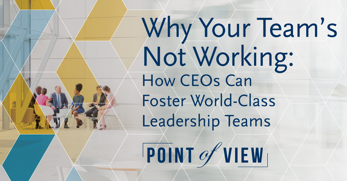 Why Your Team’s Not Working: How CEOs Can Foster World-Class Leadership ...